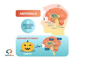 How often do you experience an amygdala hijack? - Mindmoves NZ